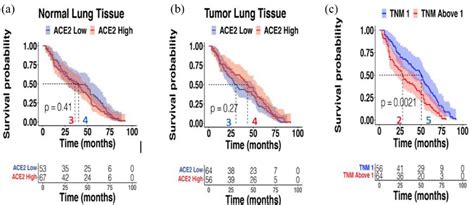 Dfs Correlation With Ace2 Expression In Normal Or Tumor Lung Tissue And Download Scientific