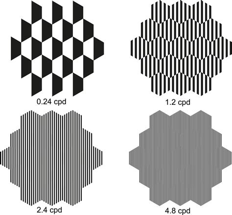 Spatial Frequency Stimuli Presented To Subjects 1 For Mferg Spatial Download Scientific