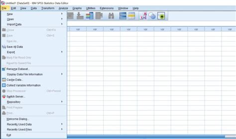 how to import data into spss a step by step guide