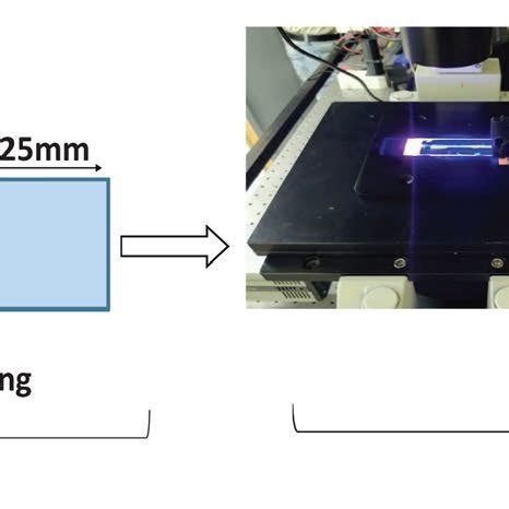 Schematic Of Clinical Protocol Of The Study Download Scientific Diagram