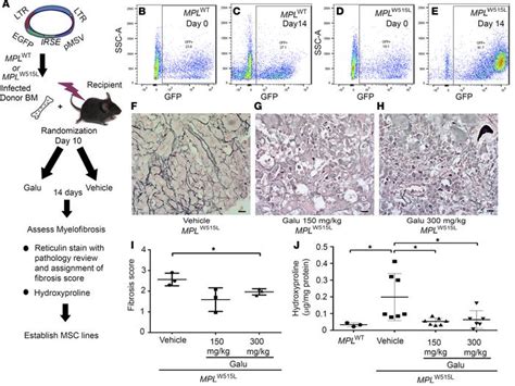 JCI Insight Efficacy Of ALK Inhibition In Myelofibrosis