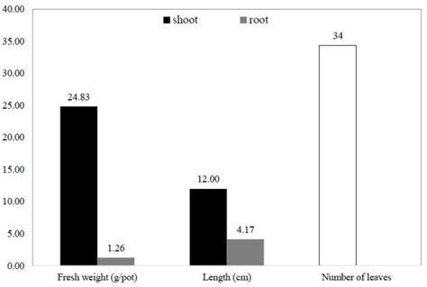 Yield Parameters Of Plants Download Scientific Diagram