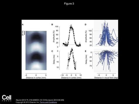 Traveling Waves In Visual Cortex Ppt Download