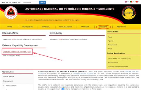 How To Use Online Gip Application Form Autoridade Nacional Do