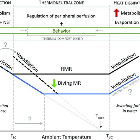 Schematic Figure Depicting The Relationship Between Ambient Temperature Download Scientific