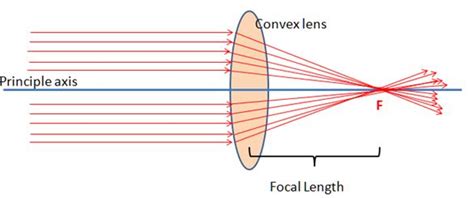 Convex Lens Definitions Types Functions And Difference Between Atelier Yuwa Ciao Jp