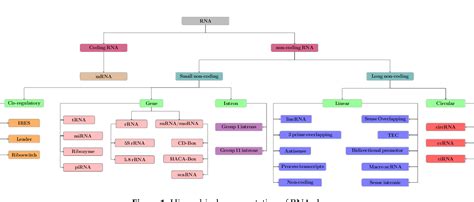 Figure 1 From Advances In Computational Methodologies For Classification And Sub Cellular