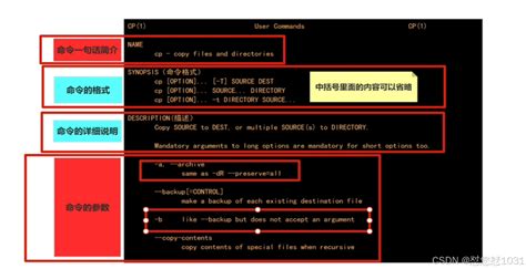 linux学习笔记——基础命令 csdn博客