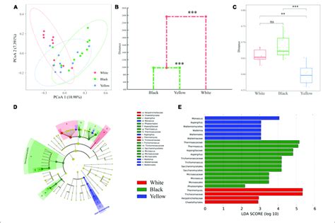 Pcoa Score Plots Based On Bray Curtis Distance A Dendrogram Based