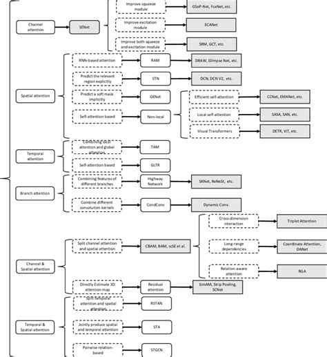 Developmental Context Of Visual Attention Download Scientific Diagram