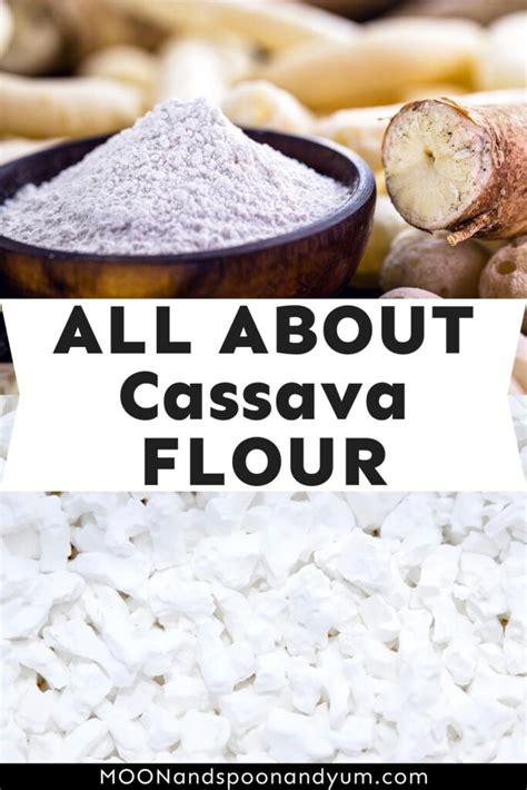 All About Cassava Flour Moon And Spoon And Yum