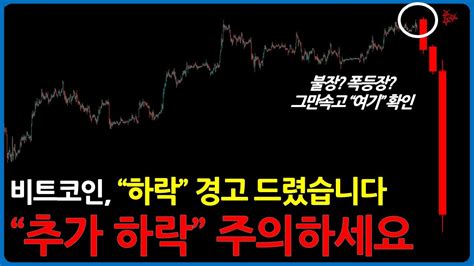 비트코인 빅쇼트 적중 아직 끝나지 않은 개미털기 Youtube
