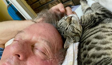 The Kitten Chronicles Intimacy Is A Gift Not A Given Ariel Shya Kane
