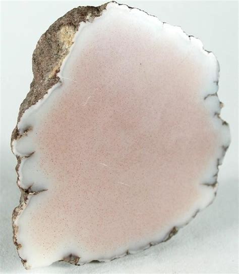 Datolite Nodule Slice Ex Nowakowski Coll Copper Country Keweenaw Peninsula Michigan
