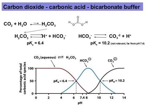 Acid Base Equilibria Ph And Buffers Acid Base Equilibria Ph And Buffers