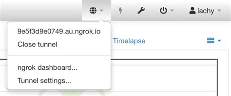 Ngrok Tunnel Polymer Help