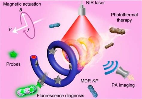 Photoacoustic Imaging Trackable Magnetic Microswimmers Reproduced With Download Scientific