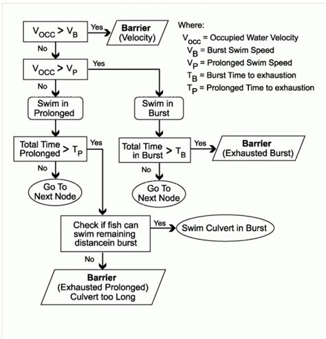 Swimming Algorithm Swimming Algorithm