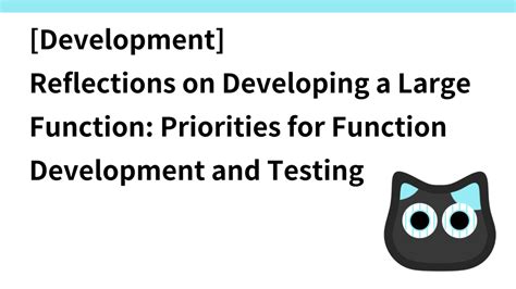 Development Reflections On Developing A Large Function Priorities For Function Development