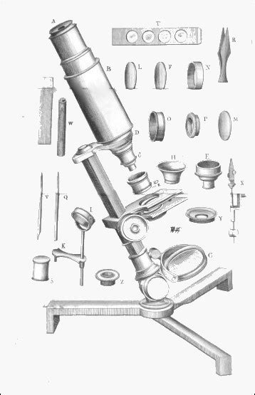 Compound And Single Microscope Improved Compound And Single Microscope