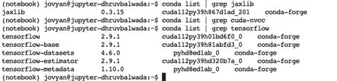 Using Jax In Ml Notebook Instantly Kills Kernel Issue Pangeo Data Pangeo Docker Images