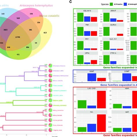 Comparative Genomics Of Orthologous Gene Content Evolution In Download Scientific Diagram