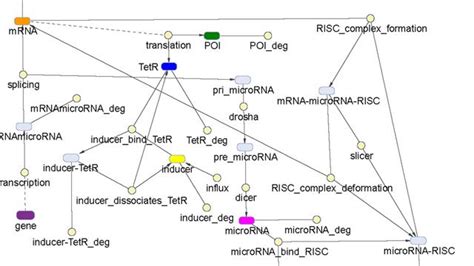 Developing A Synthetic Circuit To Control Gene Dosage Variation Matlab And Simulink