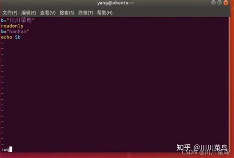 最全linux Shell详细教程linux Shell 菜鸟教程 Csdn博客