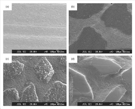 Micrographs Of Worn Surface After Three Body Abrasive Wear Test A Download Scientific