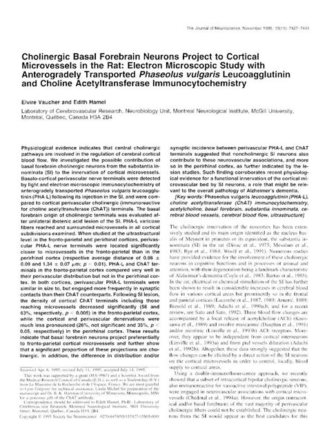 Pdf Cholinergic Basal Forebrain Neurons Project To Cortical