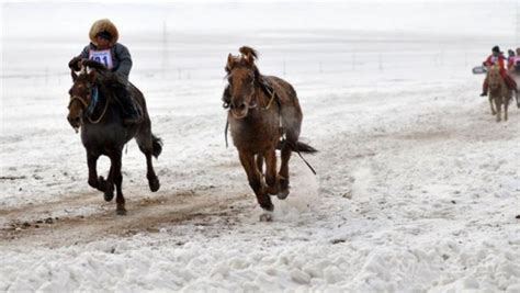 Эрдэнэбүрэн суманд морь уралдуулж хүүхдийн эрх зөрчсөн үйлдлийг