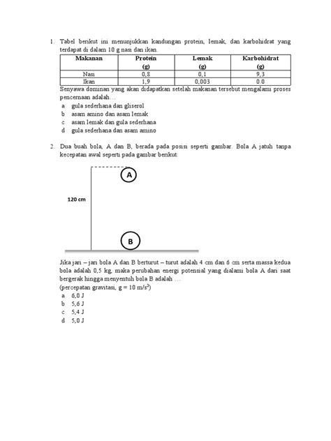 Soal Olimpiade Ipa Sd 2020 Pdf