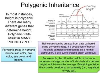 Genetics Patterns Of Inheritance By Biology Roots TPT