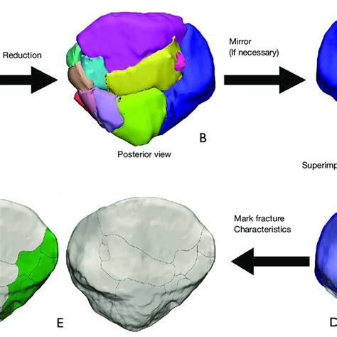 Schematic Of Method Used For 3d Computed Tomography Ct Mapping Of