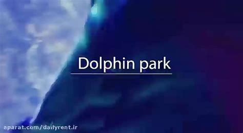 پارک دلفین کیش