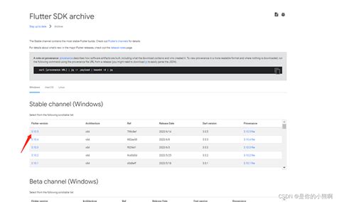flutter的安装与环境配置 flutter 安装 csdn博客