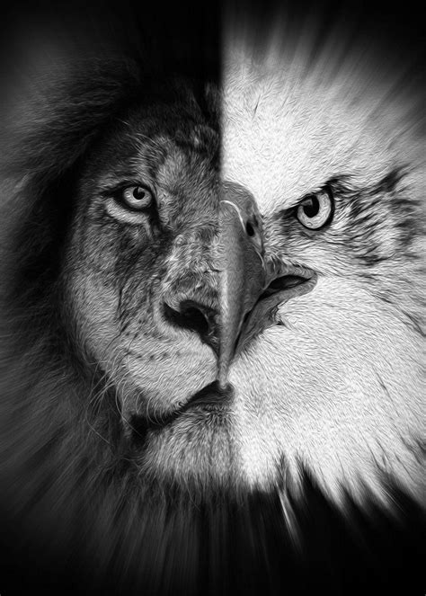 Eagle And Lion Wallpapers Top Free Eagle And Lion Backgrounds