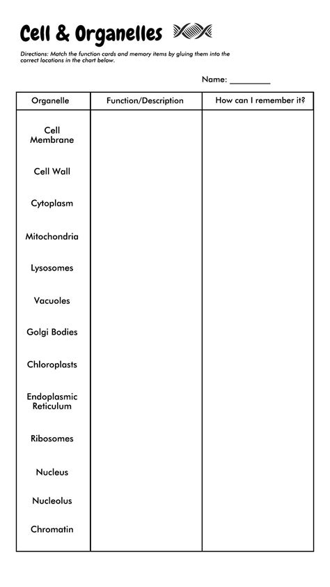 14 Cell Organelle Riddles Worksheet Answers Artofit
