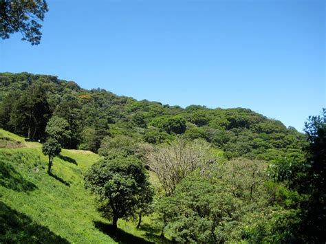 Vigilia Por La Carpintera Surcos Digital