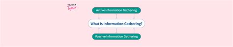 Information Gathering In Cyber Security Scaler Topics