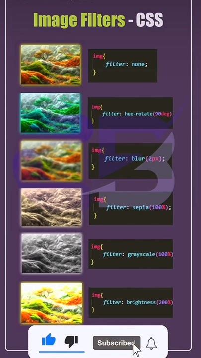 Image Filters In Css How To Use Img Filter In Css Cssfilters Cssanimation Css Html