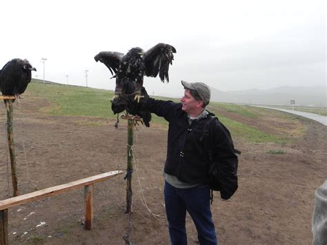 Тимоти Мэй Олон Улсын Монгол Судлалын Холбооны дэд ерөнхийлөгчийн албанаас татгалзжээ Isee Mn