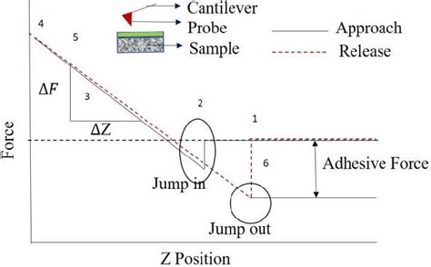 Schematic Force Curve Diagram According To Manufacturer Download Scientific Diagram