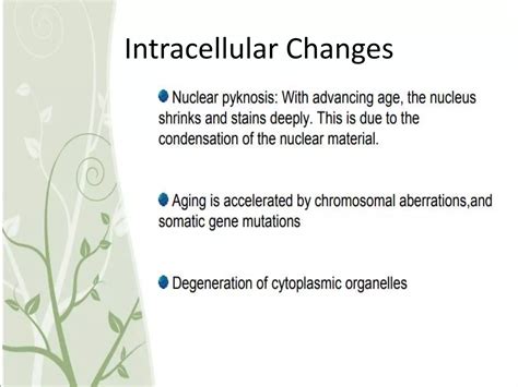 Basics Of Cellular Aging And Pptx