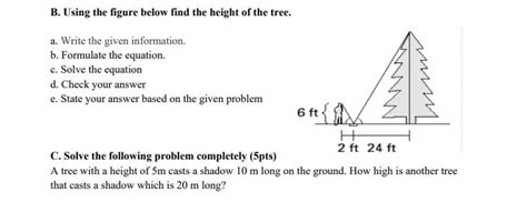 Solved B Using The Figure Below Find The Height Of The Tree A Write