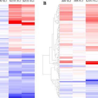 Average Linkage Hierarchical Cluster Analysis Of DEGs A DEGs