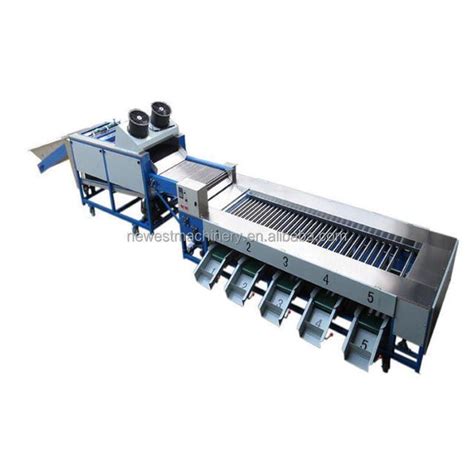 Cherry Tomato Sorting Machine Lychee Sorting Machine Drum Fruit Grading