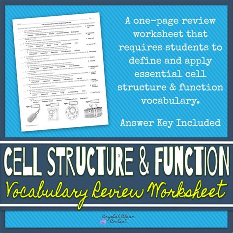 Cell Structure And Function Overview Vocabulary Review Worksheet