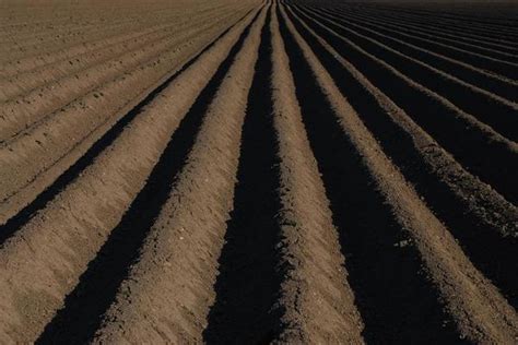 Crop Lines Stock Photos Images And Backgrounds For Free Download