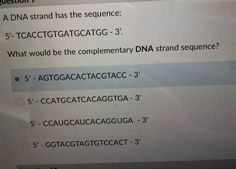 Solved A DNA Strand Has The Sequence Chegg